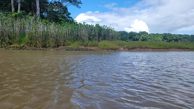 Our Version of The Full Panama Canal Experience - Retirement Reimagined